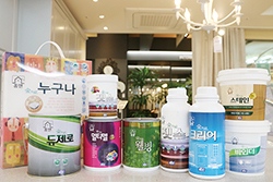 KCC, DIY용 친환경 수성페인트 숲으로홈앤(Home&) 출시